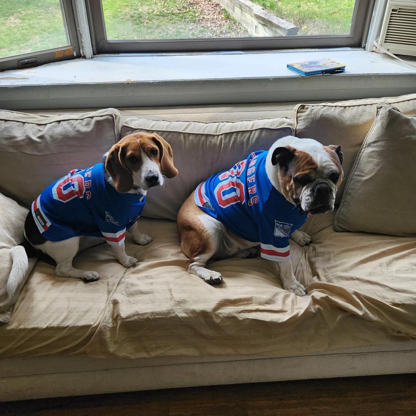 Both dogs ready for playoffs - Love NHL